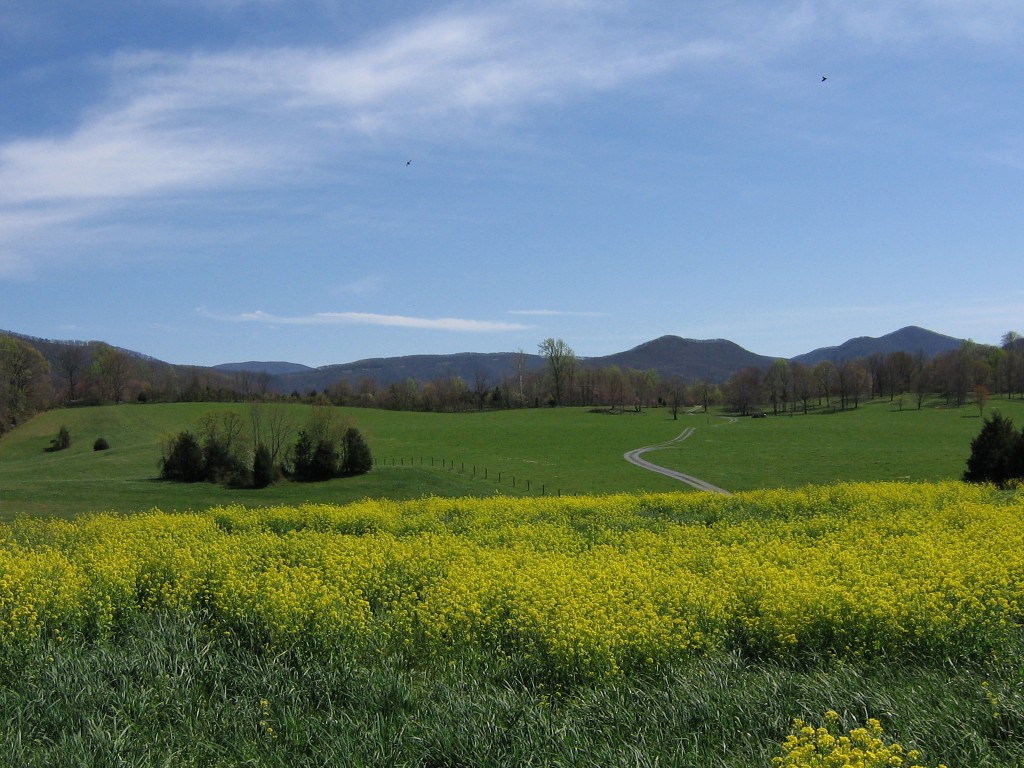 Blog: Live, Work, and Play in Lexington, Buena Vista, and Rockbridge